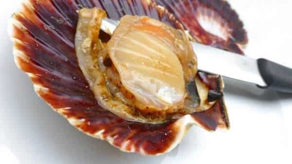 Easy Scallops Recipe on the Half Shell | Simple. Tasty. Good.