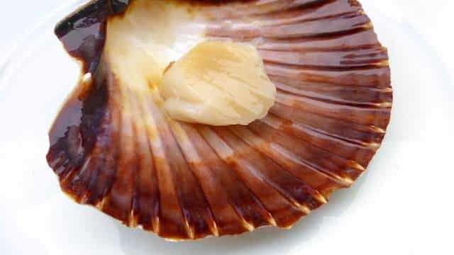 Easy Scallops Recipe on the Half Shell | Simple. Tasty. Good.