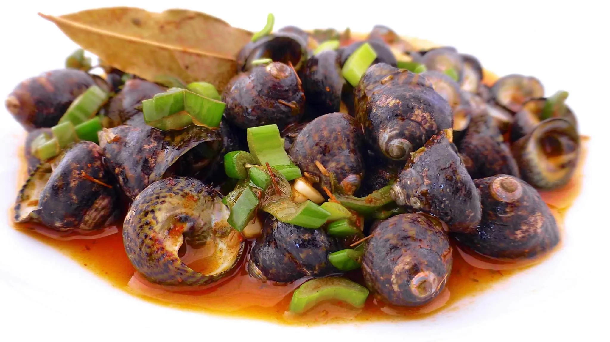 Easy Spanish Style Winkles Recipe | Simple. Tasty. Good.