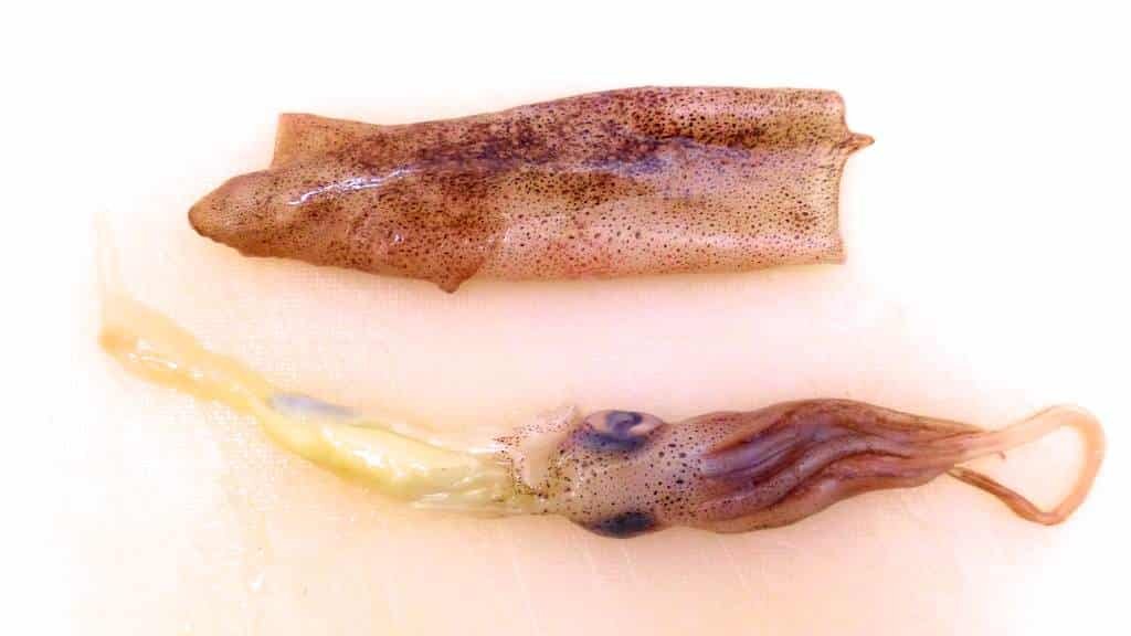 How To Clean Squid: Easy Step By Step