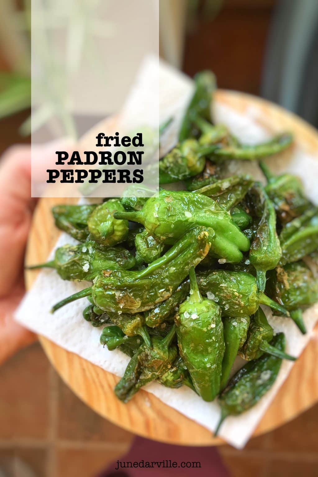 Easy Fried Padron Peppers (Pimientos de Padron)