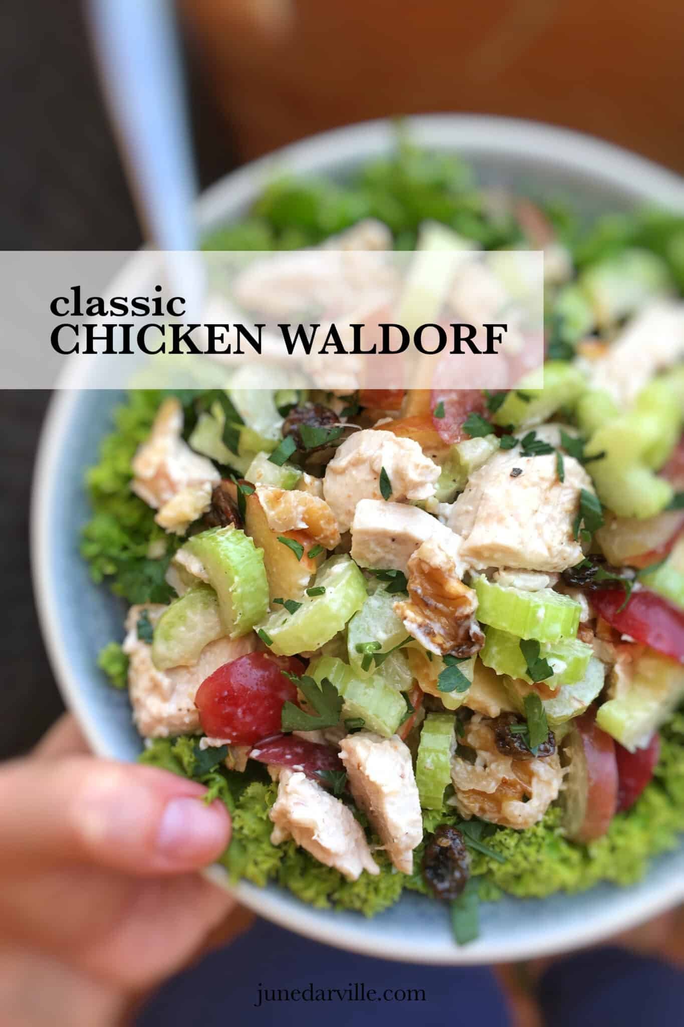 Easy Chicken Waldorf Salad Recipe | Simple. Tasty. Good.