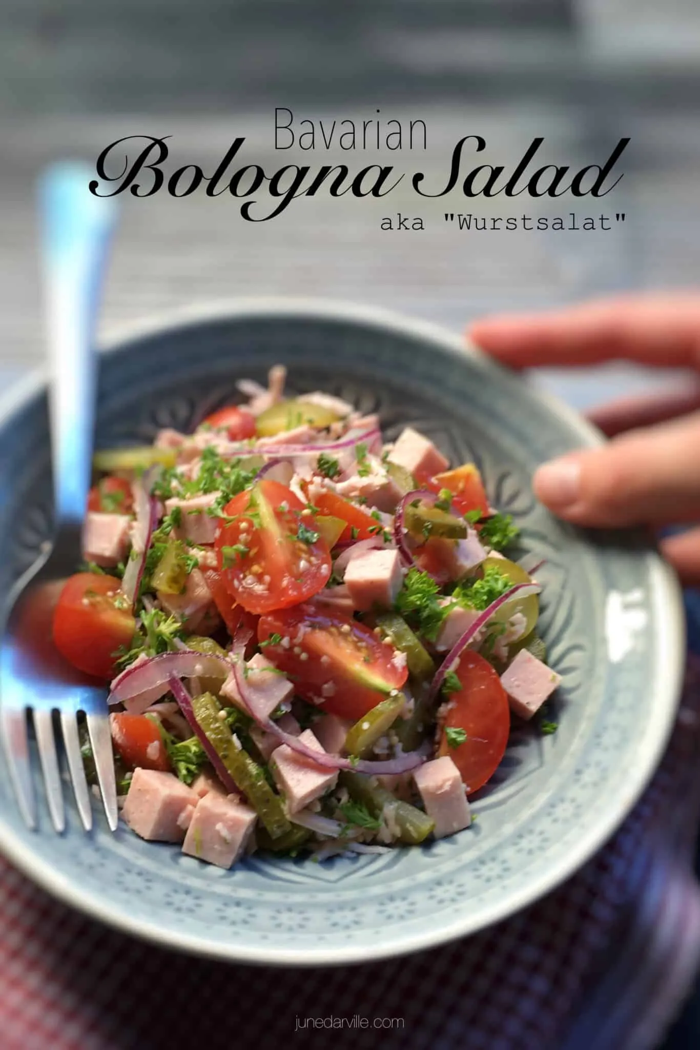 Easy Bavarian Wurstsalat (Sausage Salad)