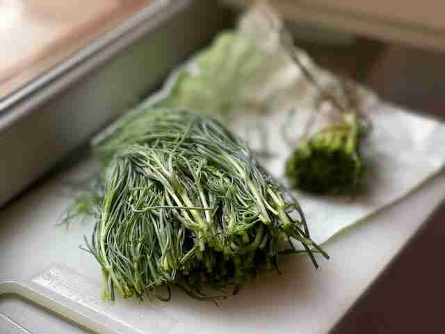 Easy Lemony Agretti Salad (Monk's Beard)