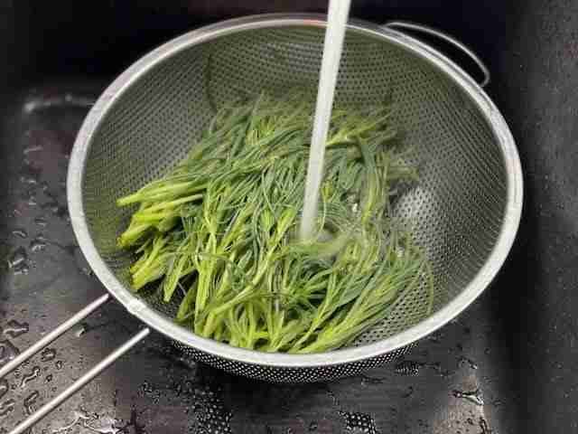 Easy Lemony Agretti Salad (Monk's Beard)