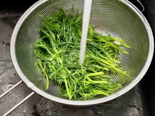 Easy Lemony Agretti Salad (Monk's Beard)