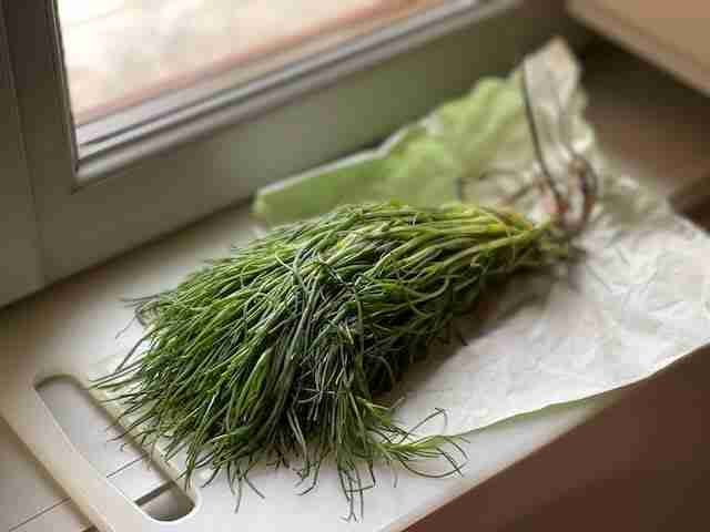 Easy Lemony Agretti Salad (Monk's Beard)